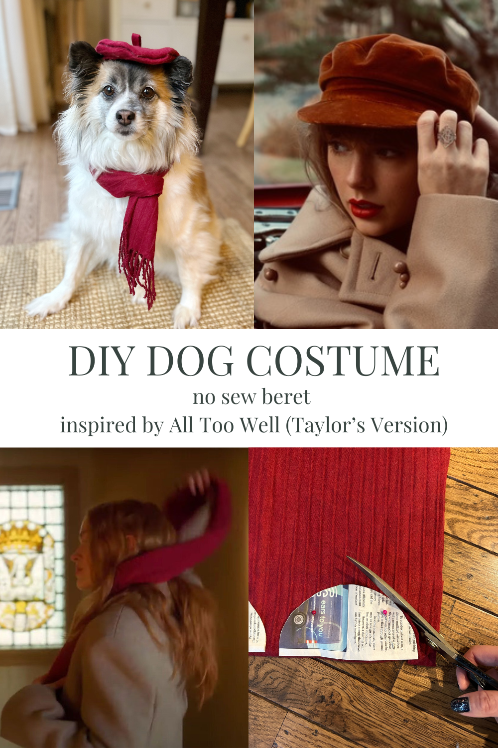 EASY DIY Dog Costume for Swifties – Nourish Through Movement